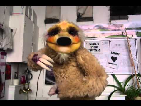 Goodbye from Speedy the Sloth... - YouTube