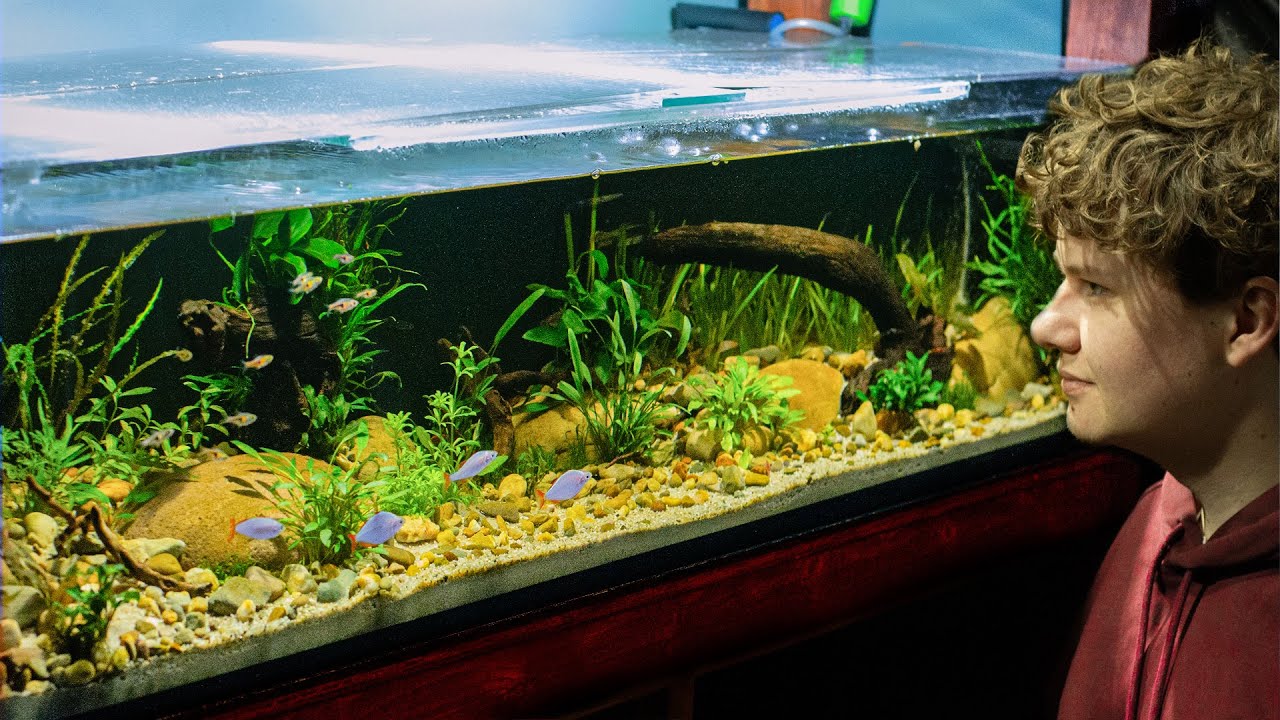 I Made a River Aquarium for some Unique Fish - YouTube