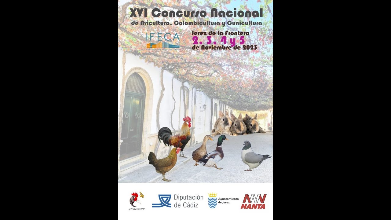 XVI Concurso Nacional Avicultura 2023-Ganeca - YouTube