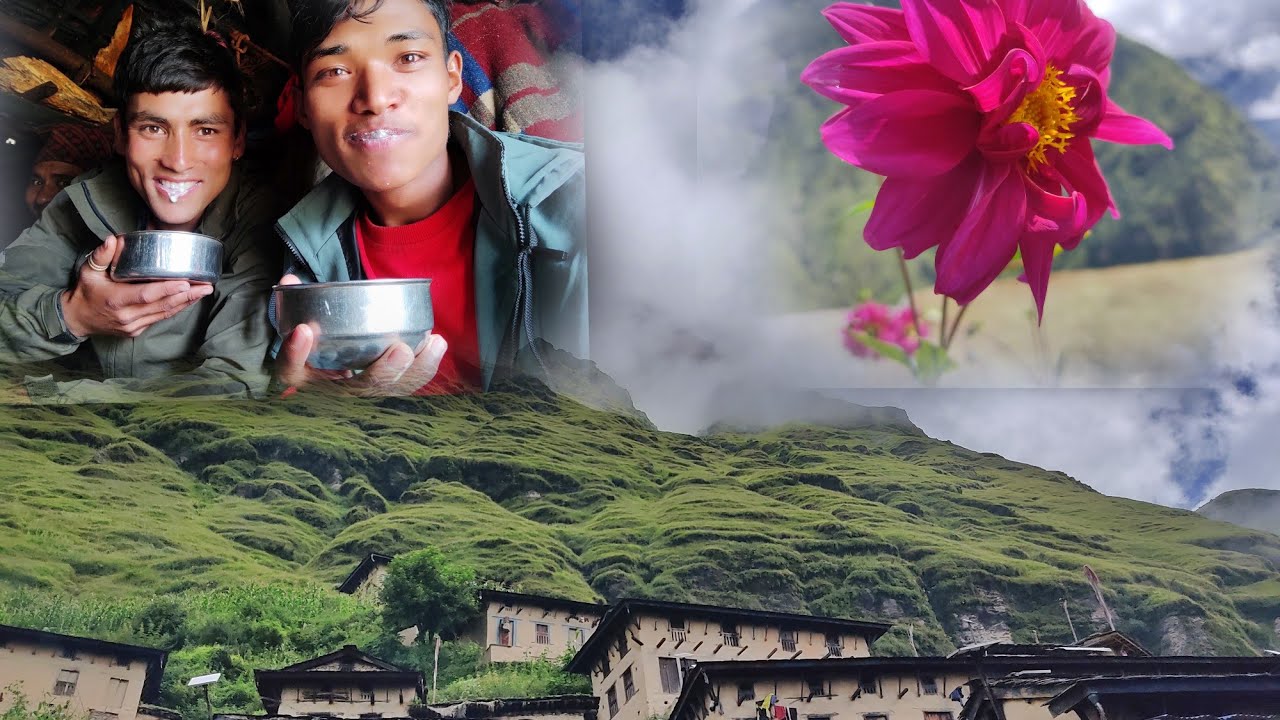 dolpa to rukum visit | rukum vlog 078 | beautiful scene रुकुम | village ...