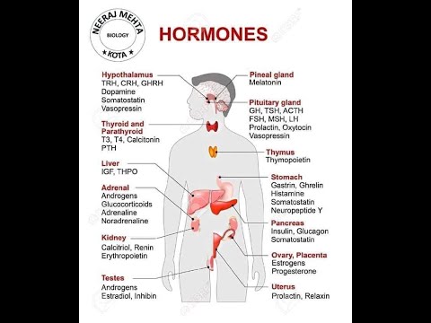 Endocrine system part -1 (Glands & harmones)