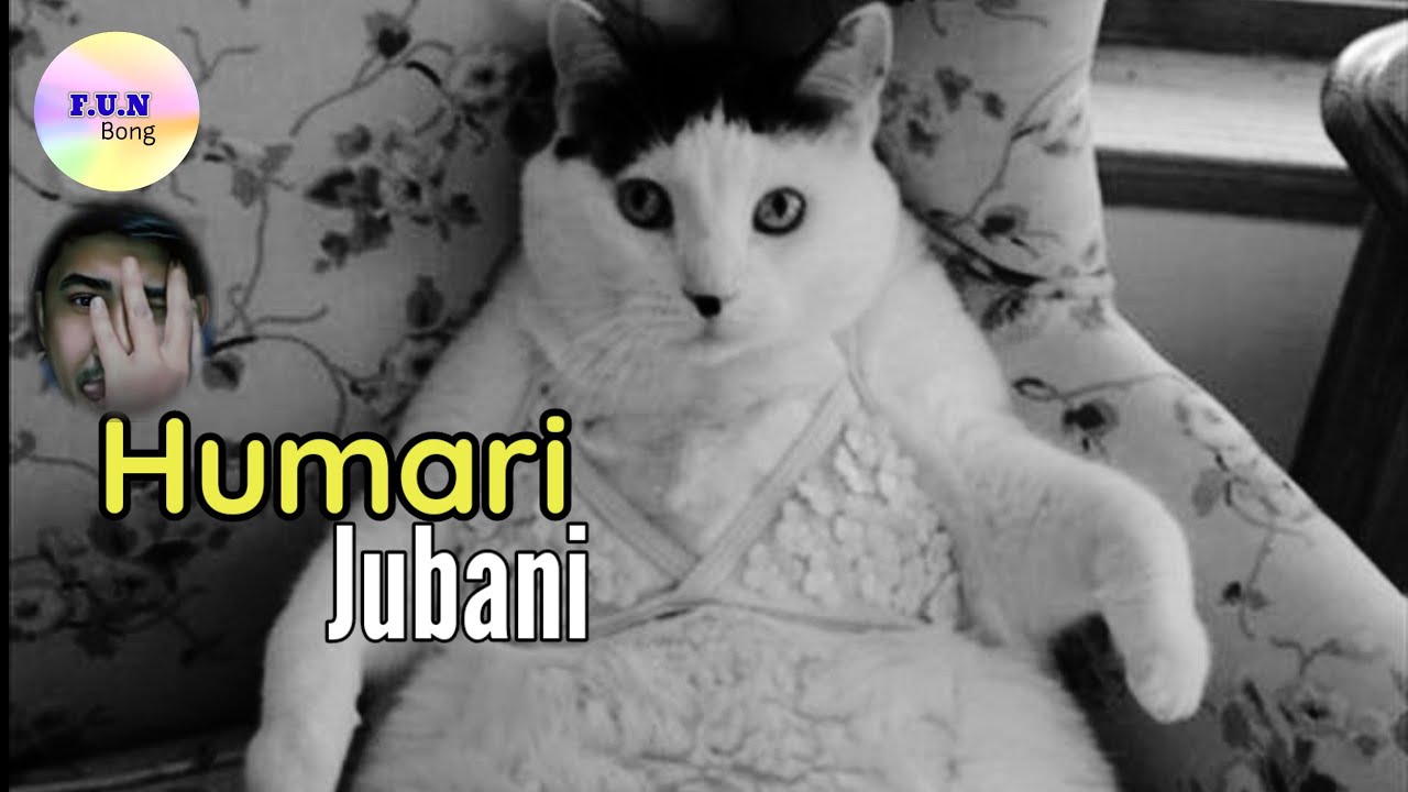 Humari Jubani 🤭🤪 #funbong - YouTube