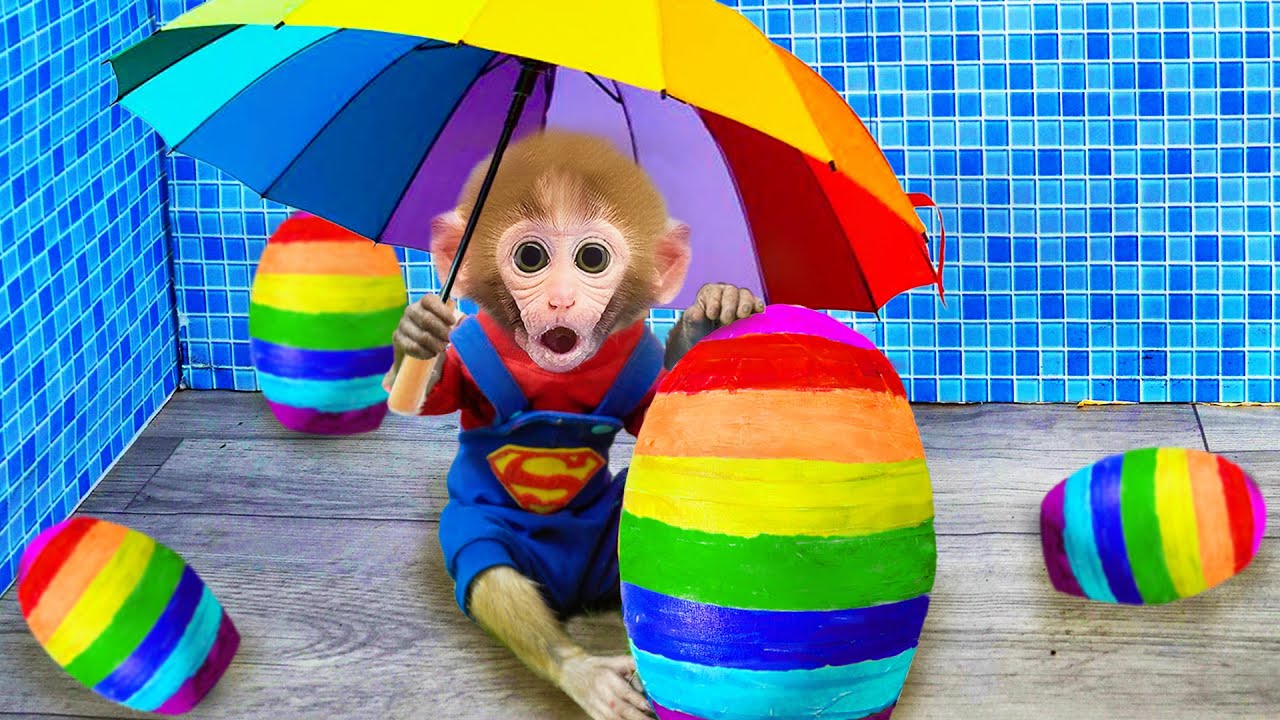 🐵Lovely Bi Bon found a giant rainbow egg with Cheese cat | Animal HT ...