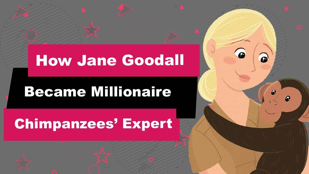 Jane Goodall Biography | Animated Video | Millionaire Chimpanzees ...