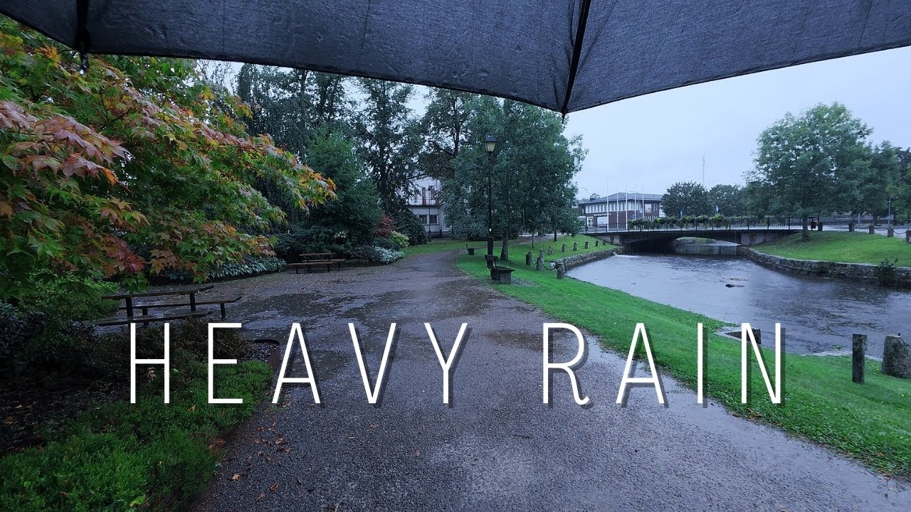 Heavy Rain Walk in 4K | Pure Nature Sounds & Umbrella Ambience - YouTube