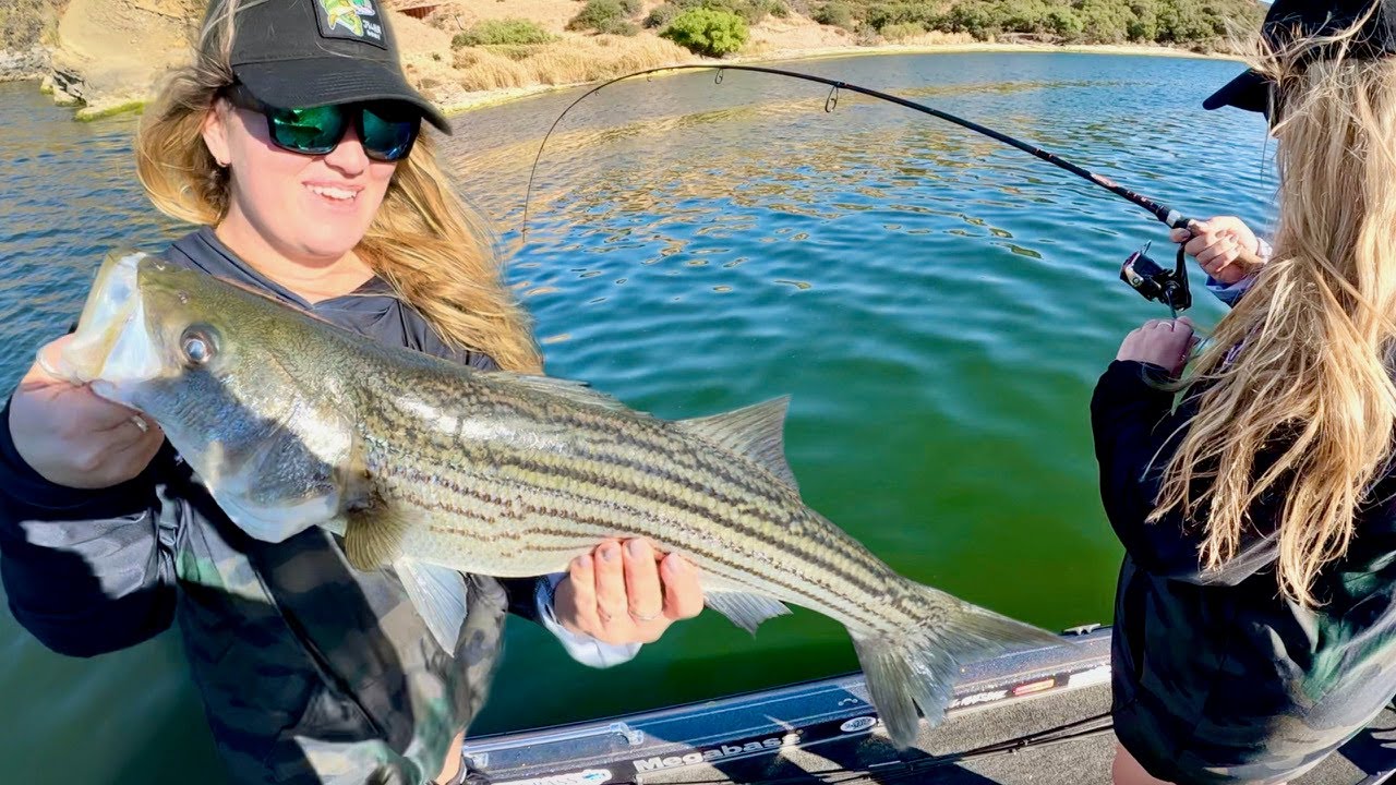 Full Speed Striper & Smallmouth! Ft. @Bass_Buster - YouTube