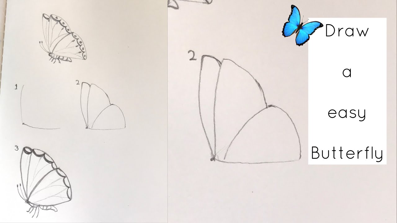 How to draw a easy butterfly 🦋 - YouTube