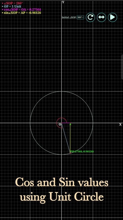 Unit circle animation demonstrating trigonometric functions - YouTube