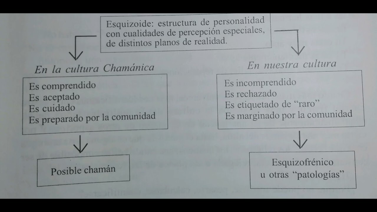 Relatividad cultural... - YouTube