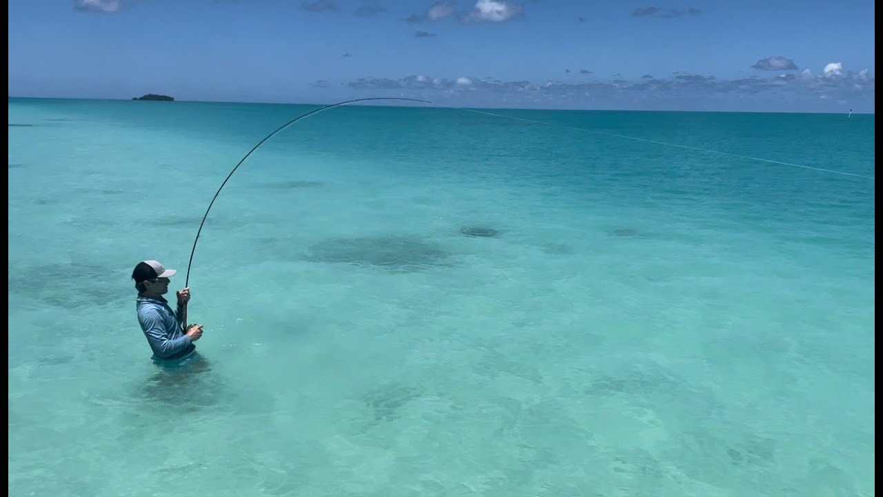 Giant Trevally on a 8 weight rod - YouTube
