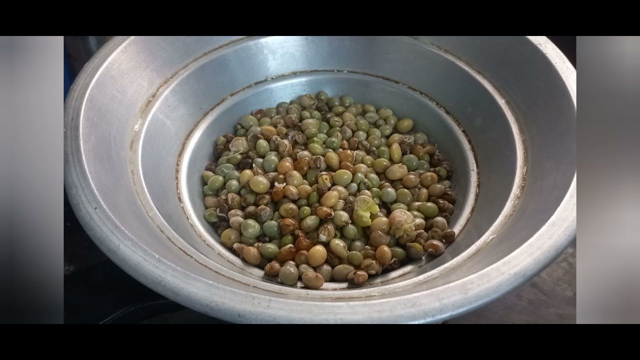 Thuvarai recipe in tamil - YouTube