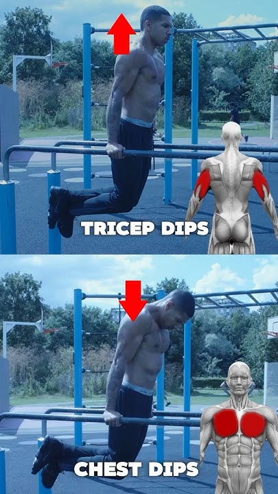 Tricep Dips Vs Chest Dips - YouTube