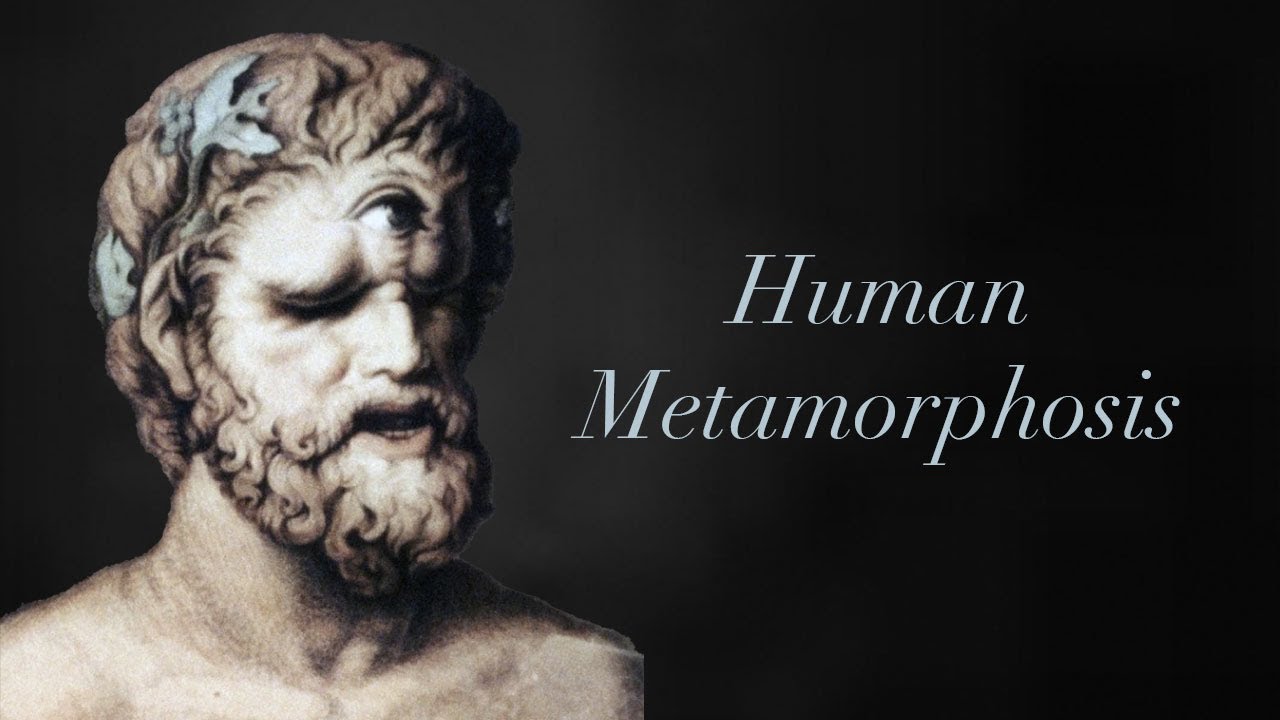 Metamorphosis Human