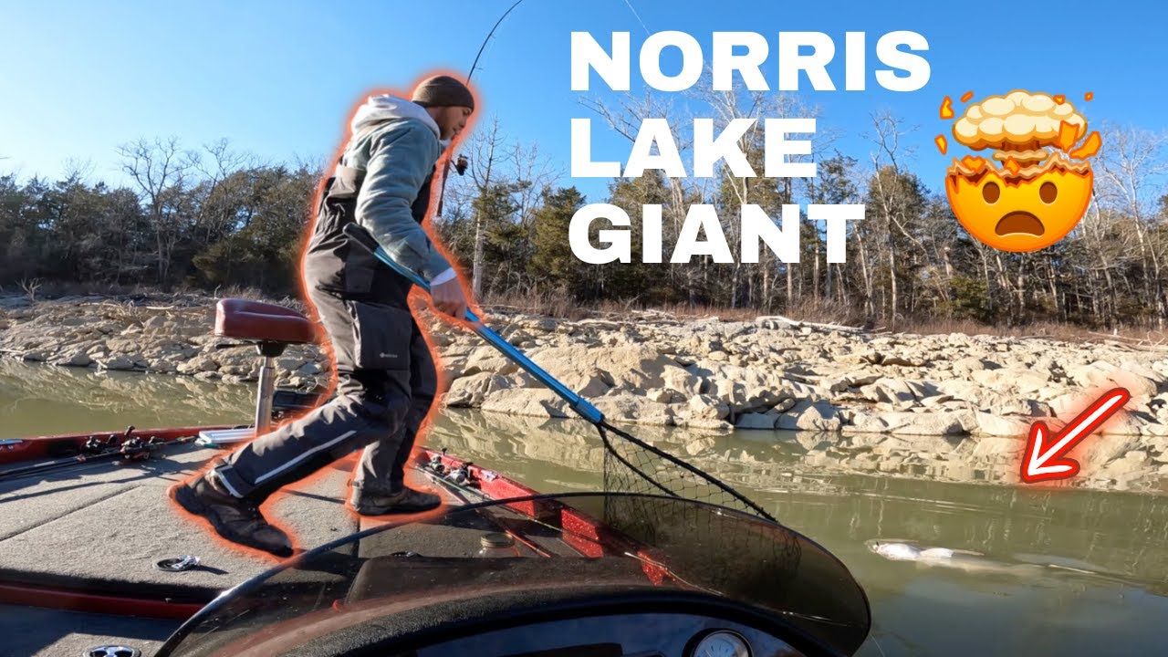Bass fishing Norris lake middle of February. - YouTube