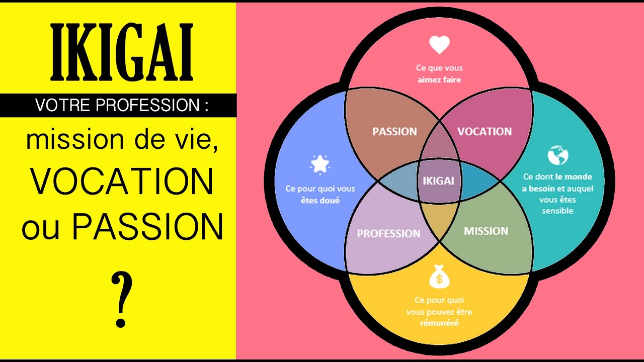 REUSSITE AU TRAVAIL ET IKIGAI 5/5 : votre profession Mission de vie ...
