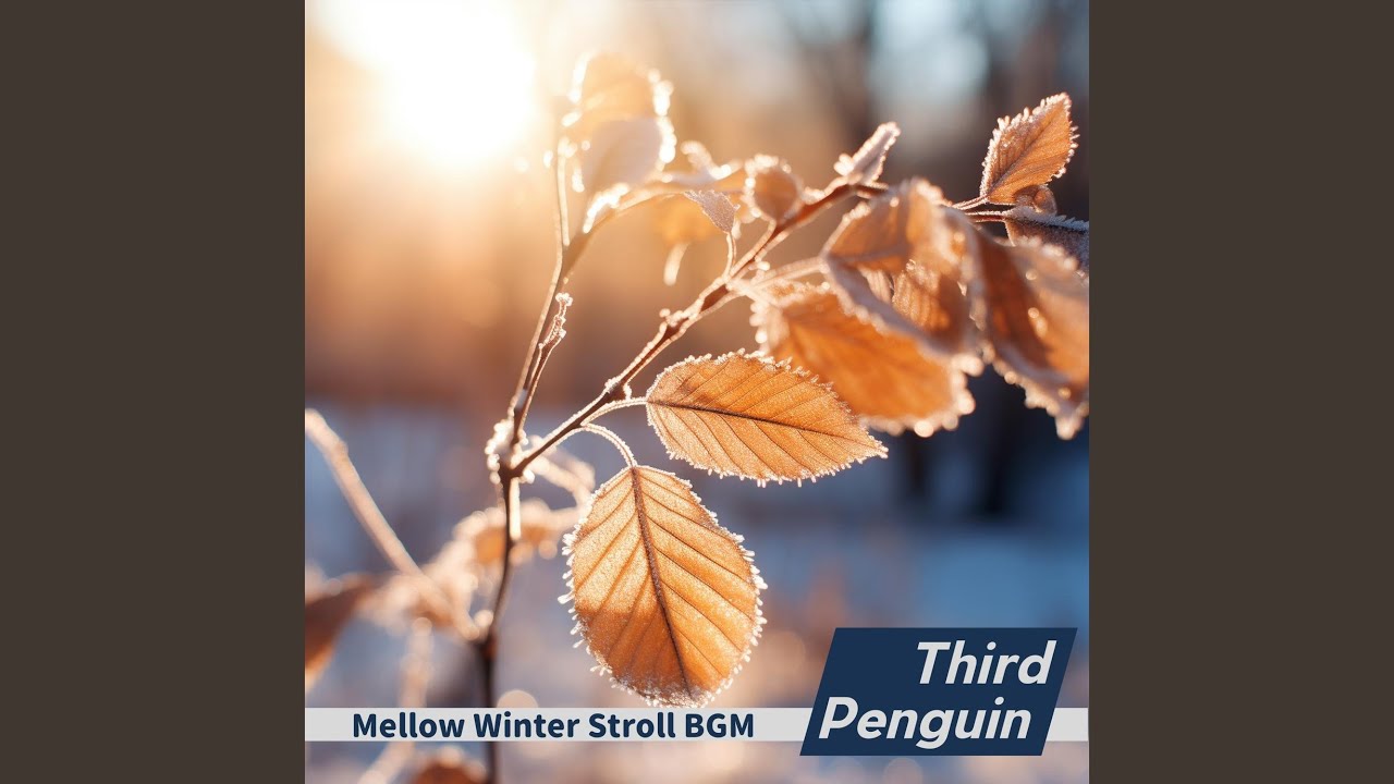 December Sunbeam Dance - YouTube