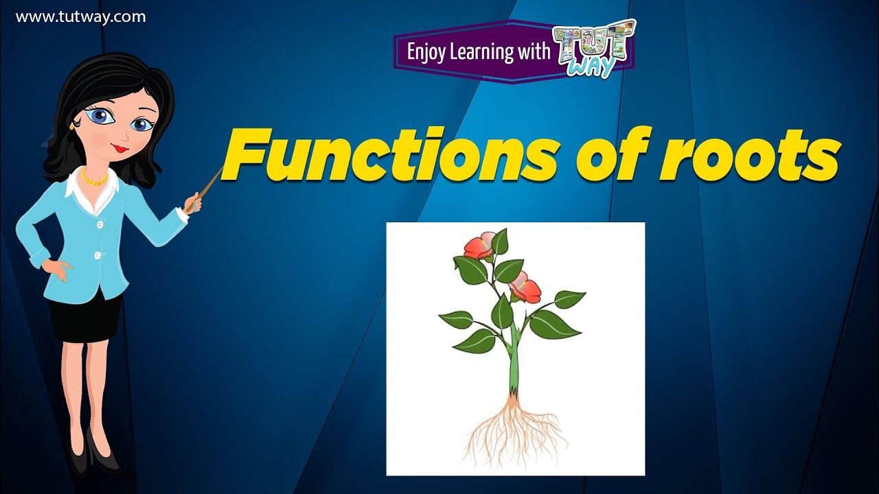 Functions of Roots - YouTube