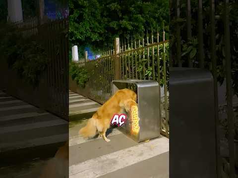 Limonla İlk Tanışma 🍋❤️ #shorts