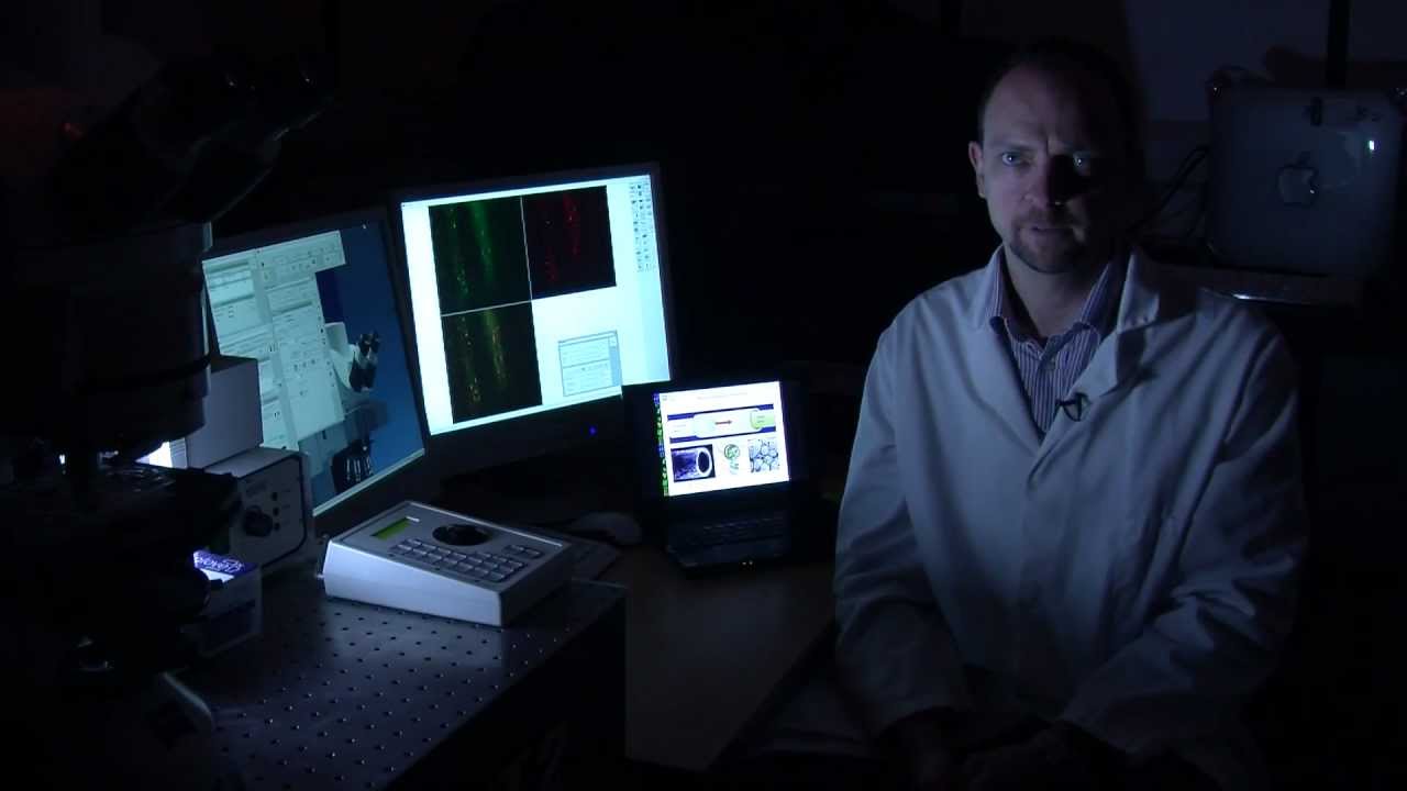 Nerve Tissue Seer Training