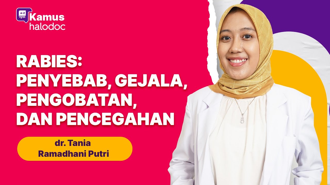 Rabies: Penyebab, Gejala, Pengobatan, dan Pencegahan - YouTube