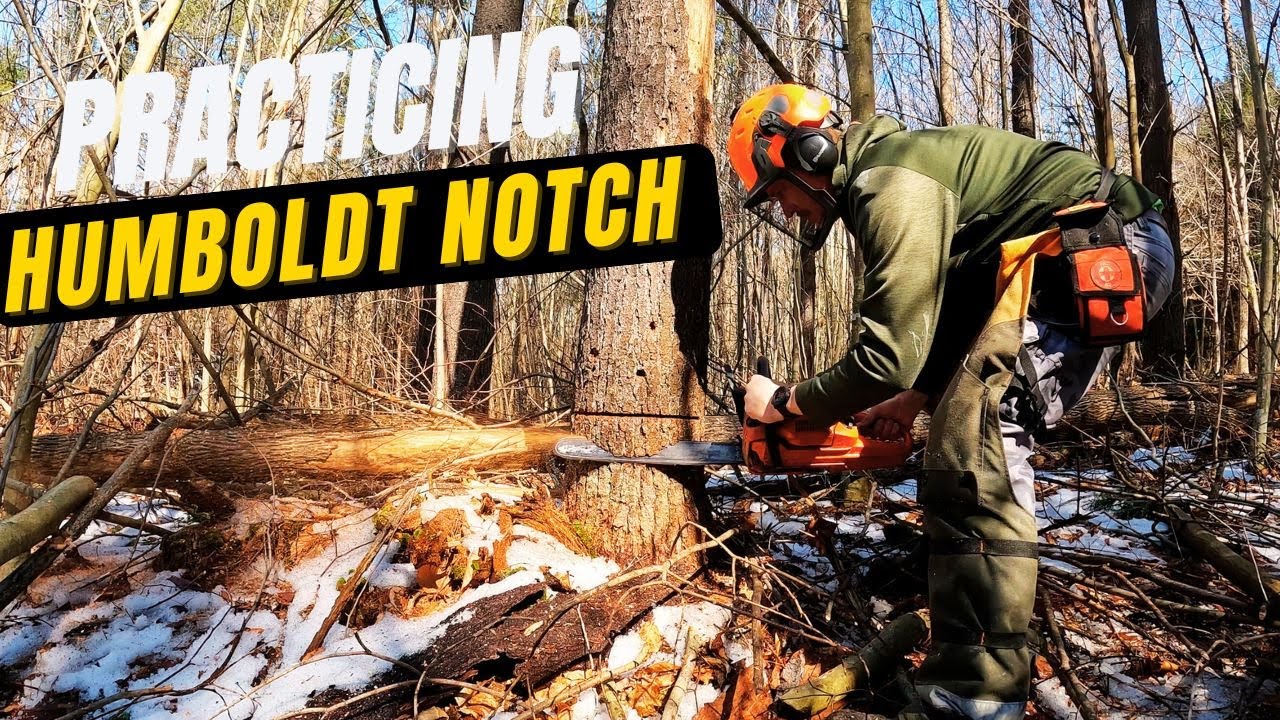 Practicing the Humboldt Notch - YouTube