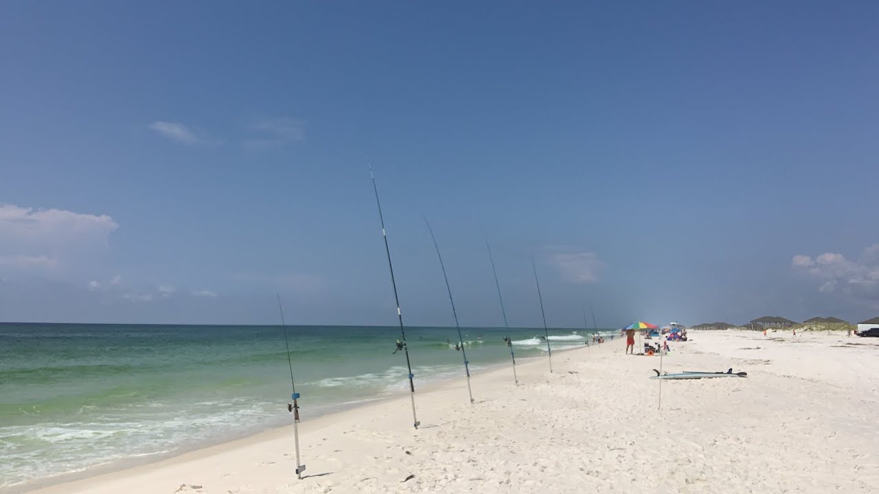 Florida Panhandle summertime surf fishing - YouTube