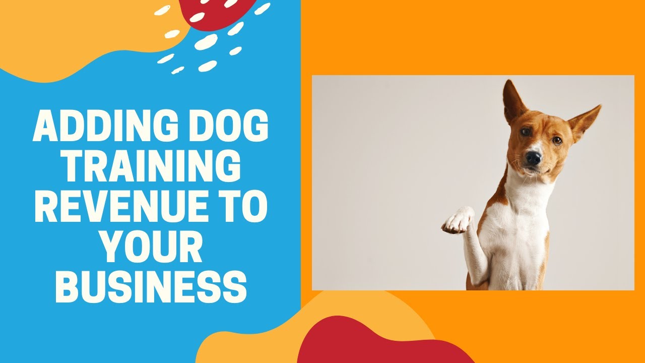 Adding Dog Training Revenue to Your Business - YouTube