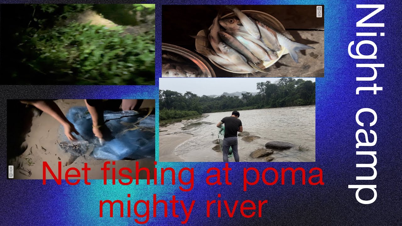 Night camp net fishing at poma mighty river - YouTube