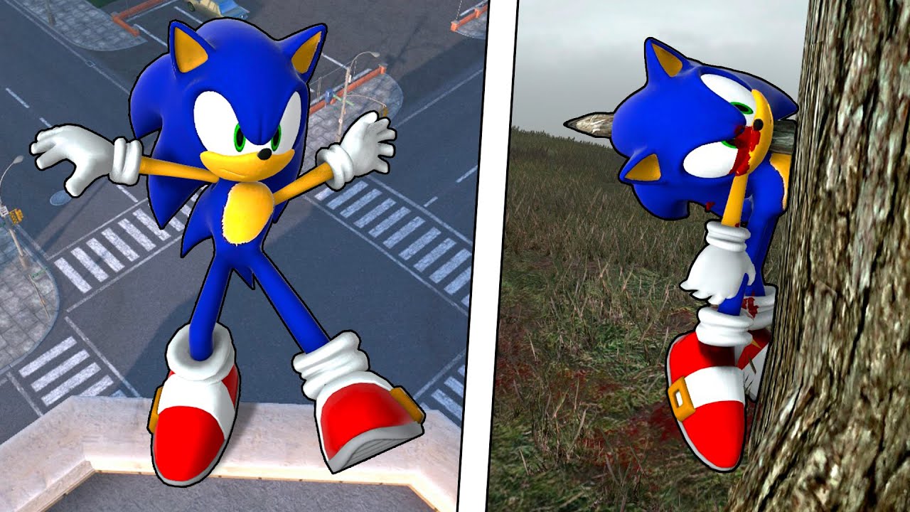 Sonic NPC Ragdoll Physics - Epic NPC Falls Compilation #85 - YouTube