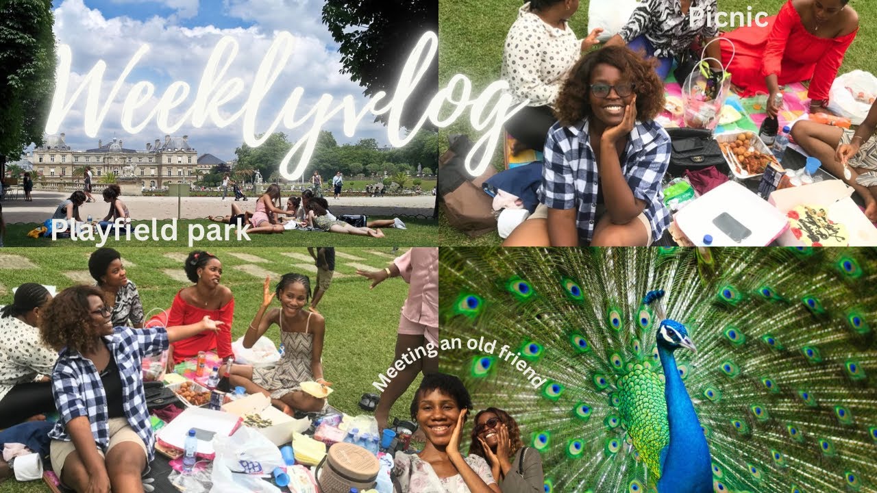WEEKLY VLOG: birthday picnic+meeting an old friend+playfield park - YouTube