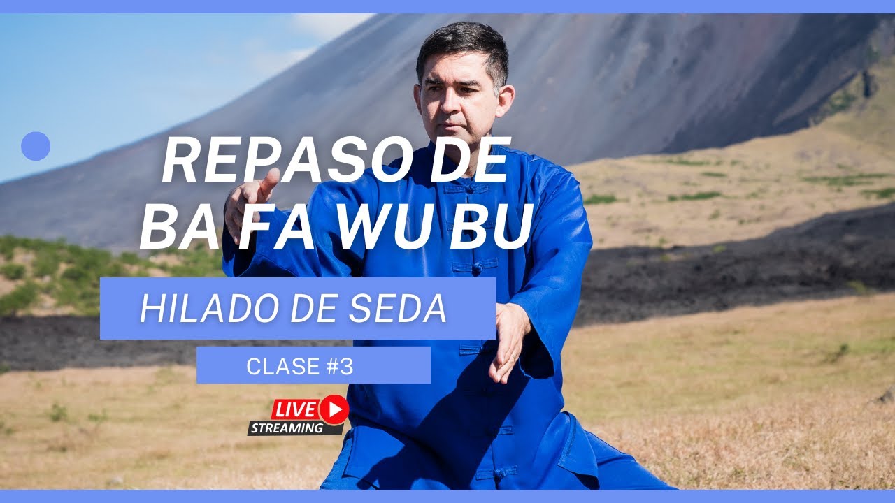 Hilado de Seda y Repaso de Ba Fa Wu Bu ( Tai Chi 8 Metodos y 5 ...
