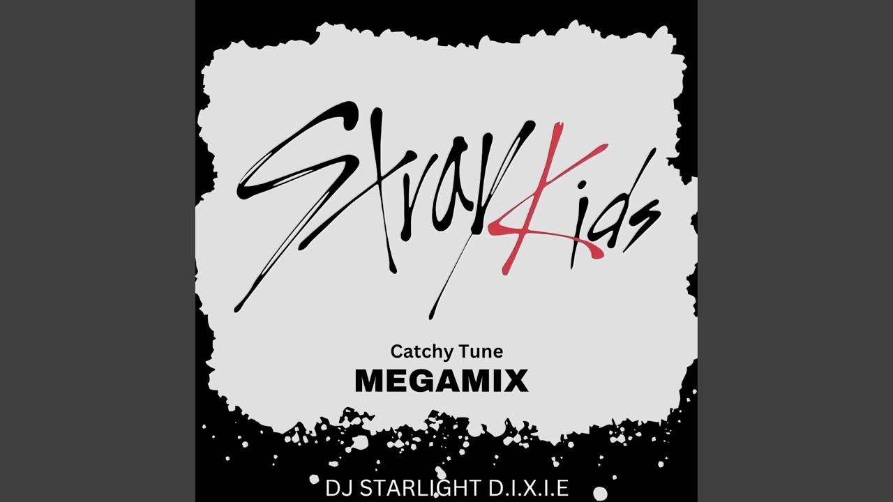 Catchy Tune (Stray Kids Megamix) - YouTube