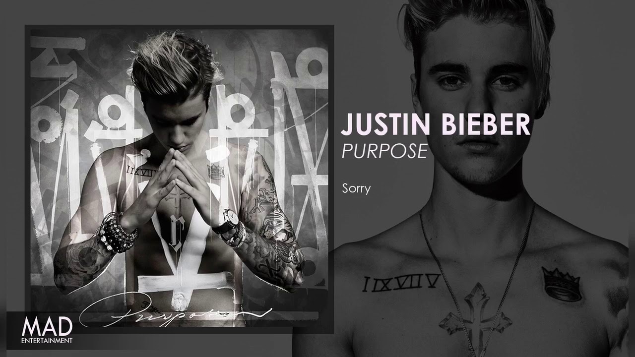 Justin Bieber Sorry Youtube