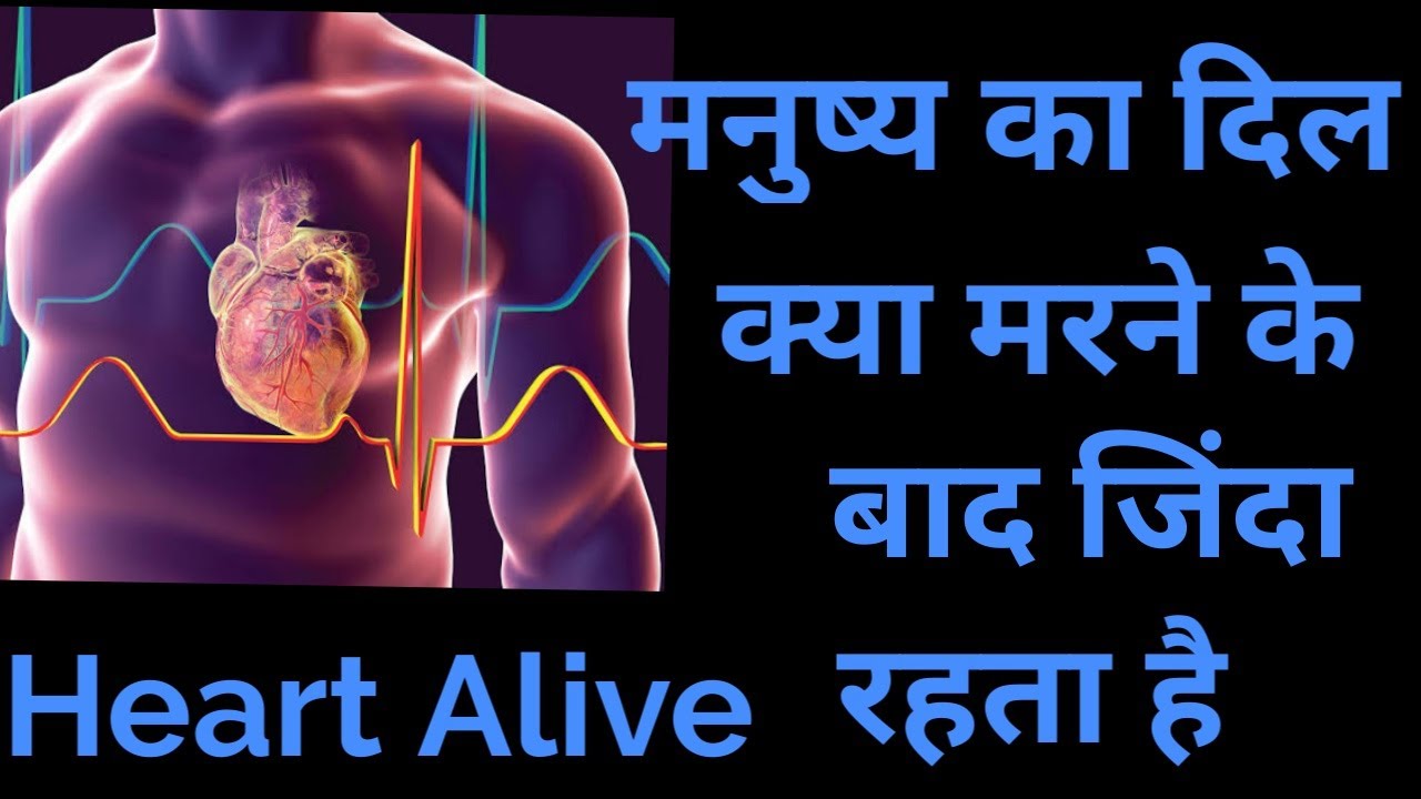 Heart Beats After death | Heart Beats after remove from body | Donate ...