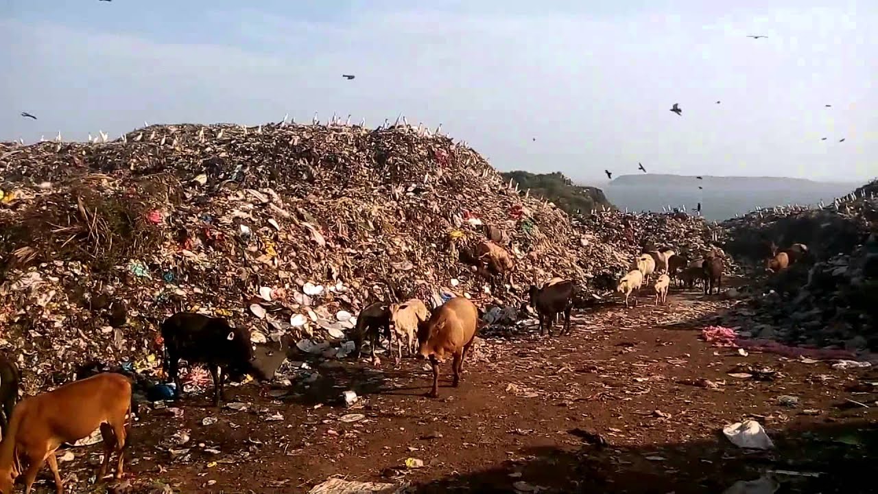Solid Waste in Goa - YouTube
