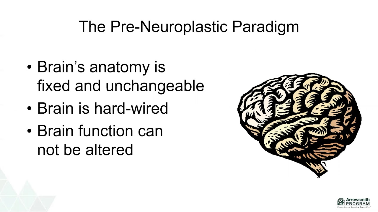 Changing Brains, Shaping the Mind – Neuroplasticity and Learning - YouTube