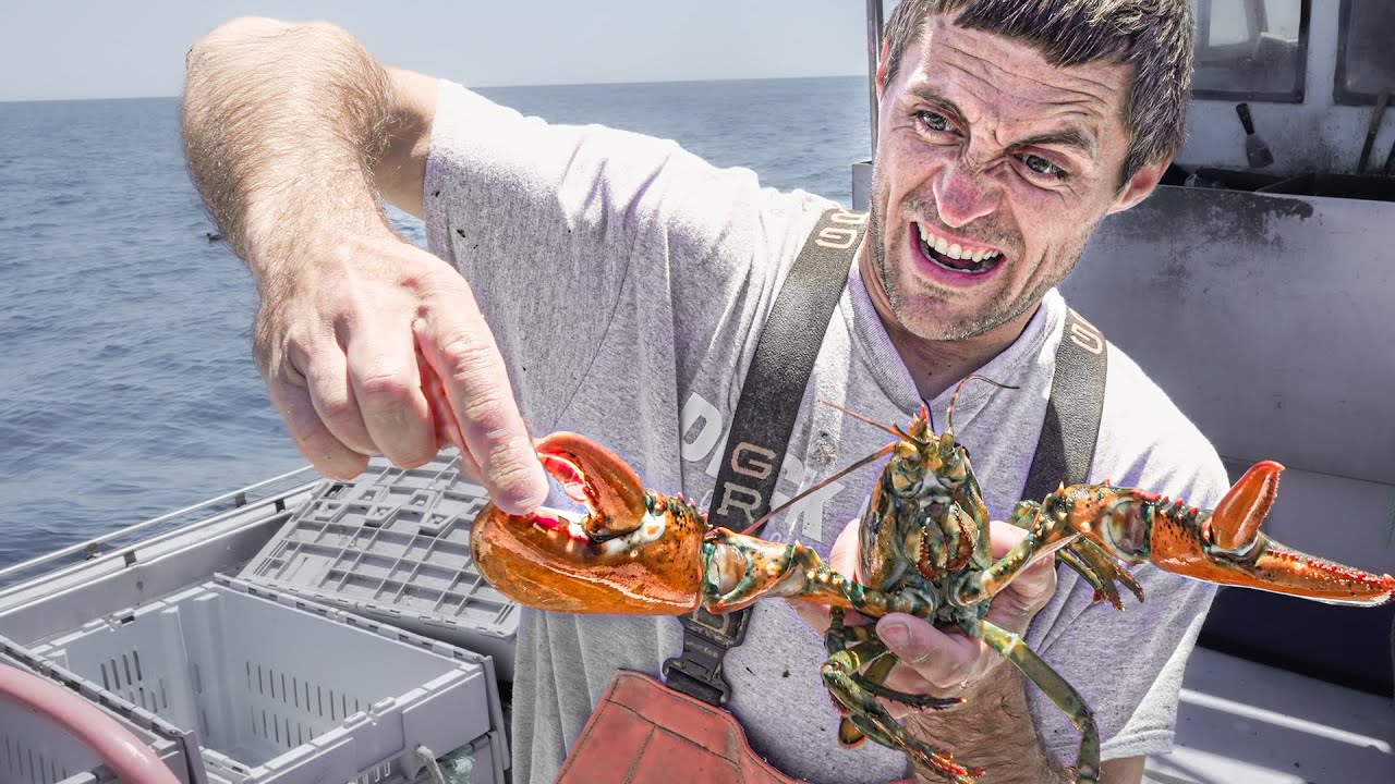 How Strong is a Lobster? - YouTube