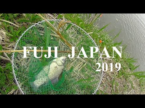 平成最後 へら鮒釣り #41 2019