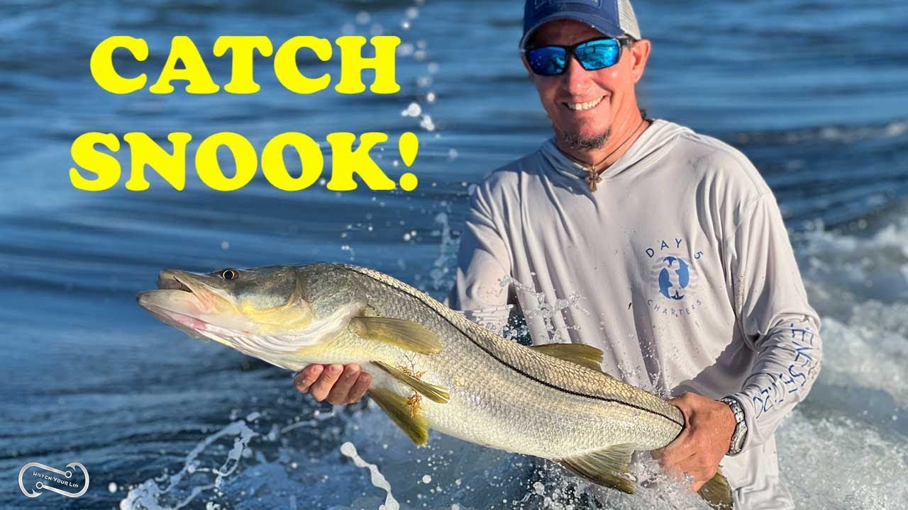 HOW TO CATCH SNOOK ON THE BEACH (FF Episode 14, Season 1) - YouTube