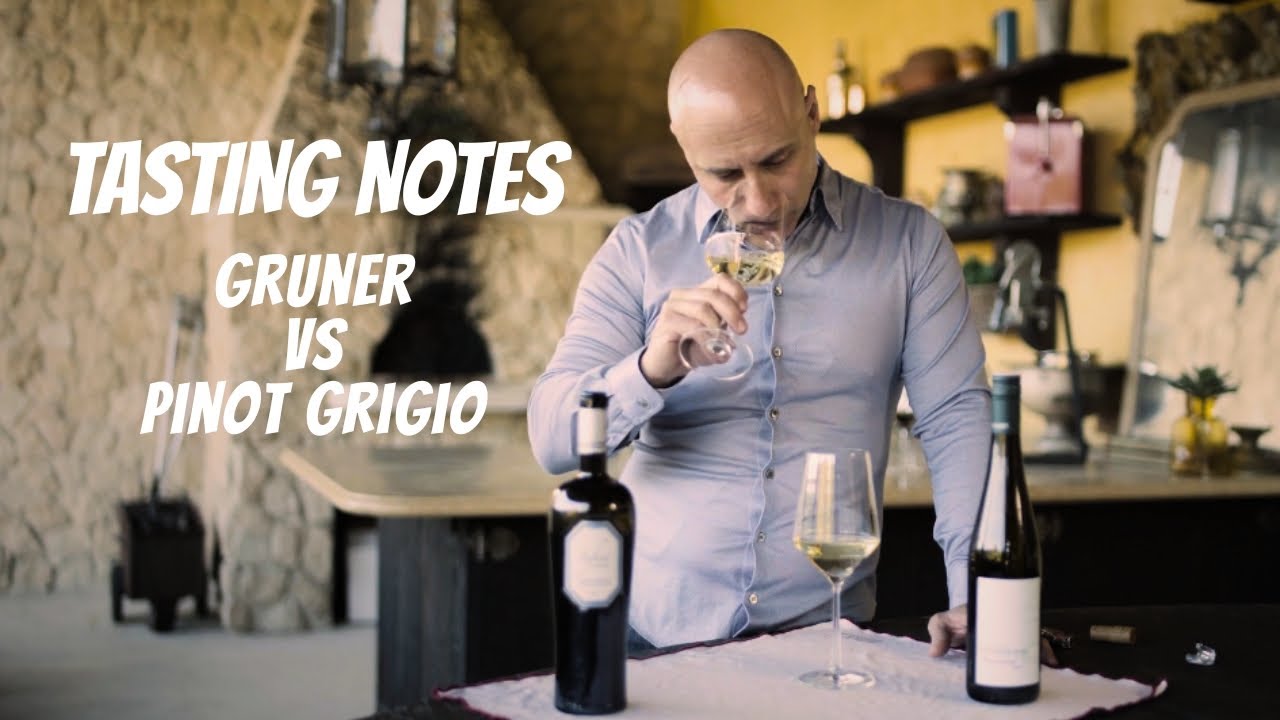 Tasting Notes: Gruner vs Pinot Grigio - YouTube