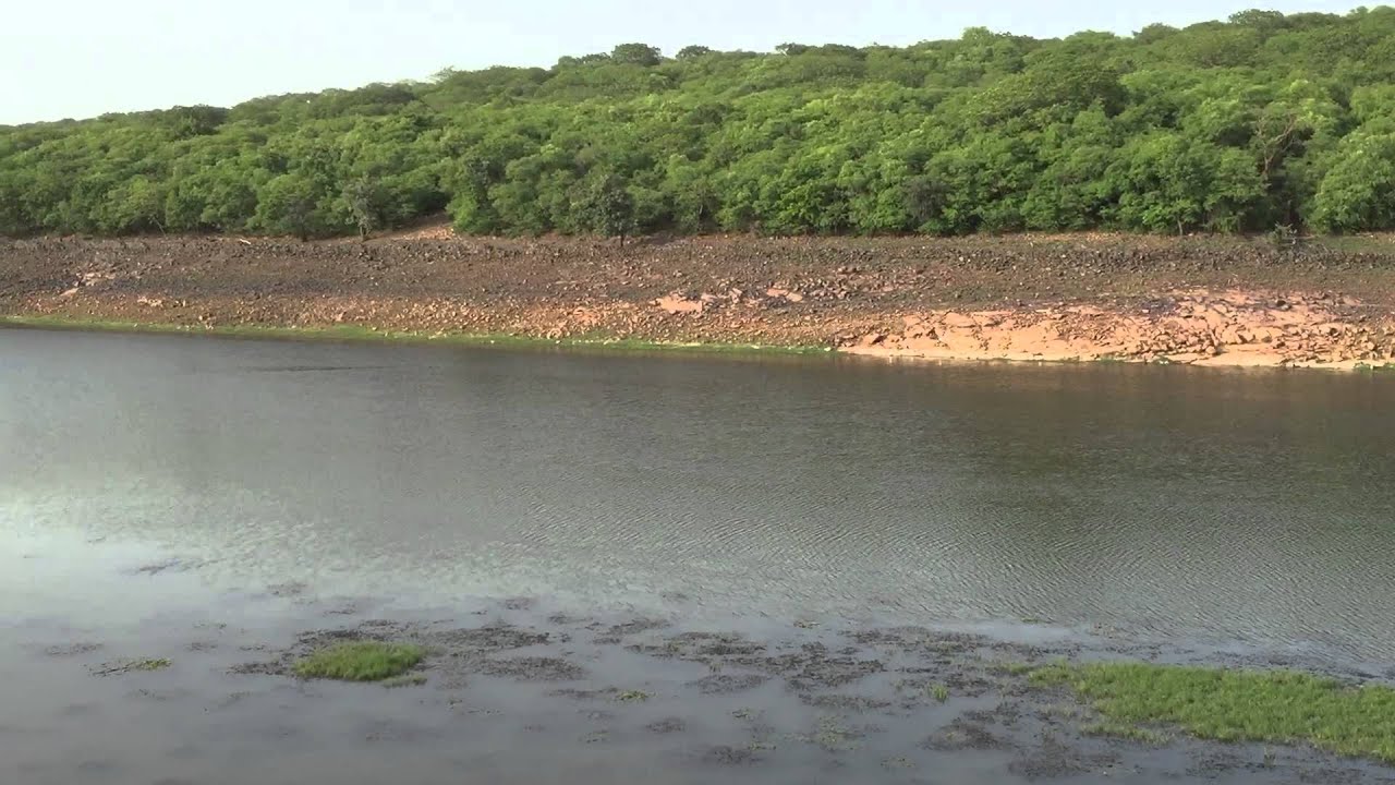 Bassi wildlife sanctuary rajasthan - YouTube