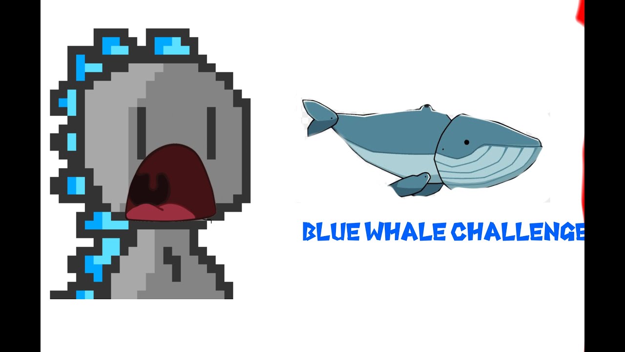 So About the Blue Whale Challenge... - YouTube