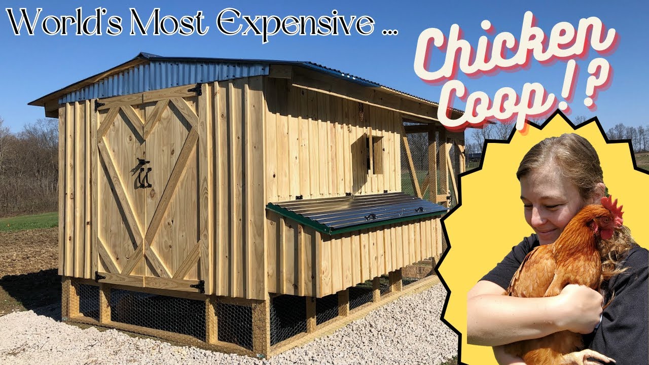 Building a Chicken Coop (Chicken Mansion?) - YouTube