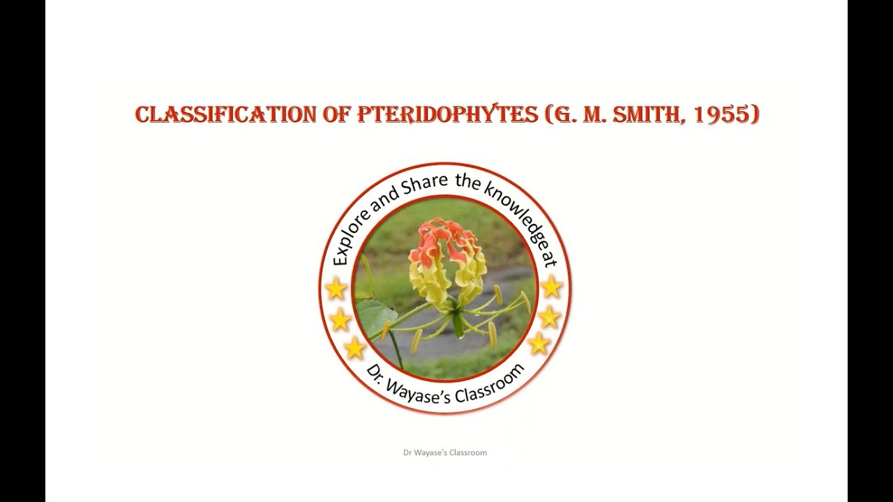 Classification of Pteridophytes (G. M. Smith, 1955) - YouTube