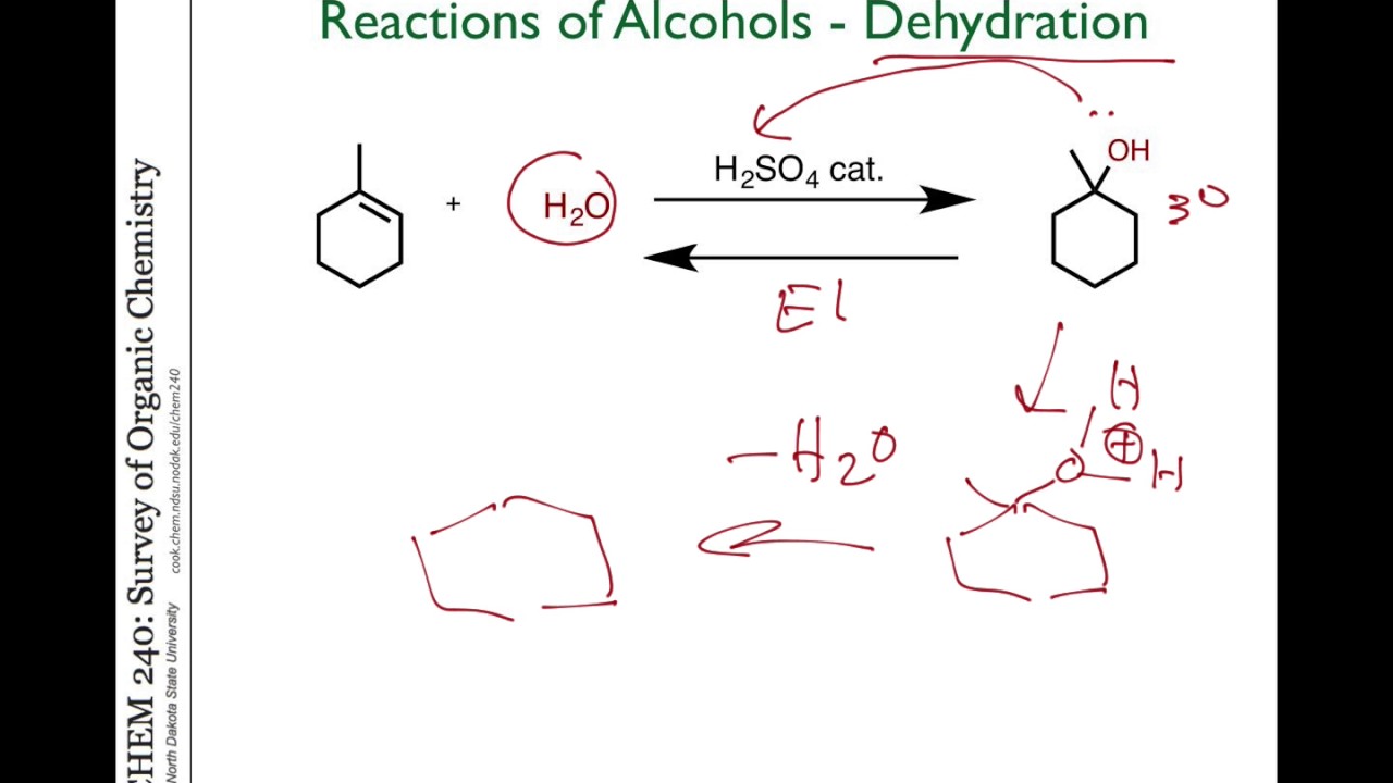 H2so4 Reaction With Alcohol