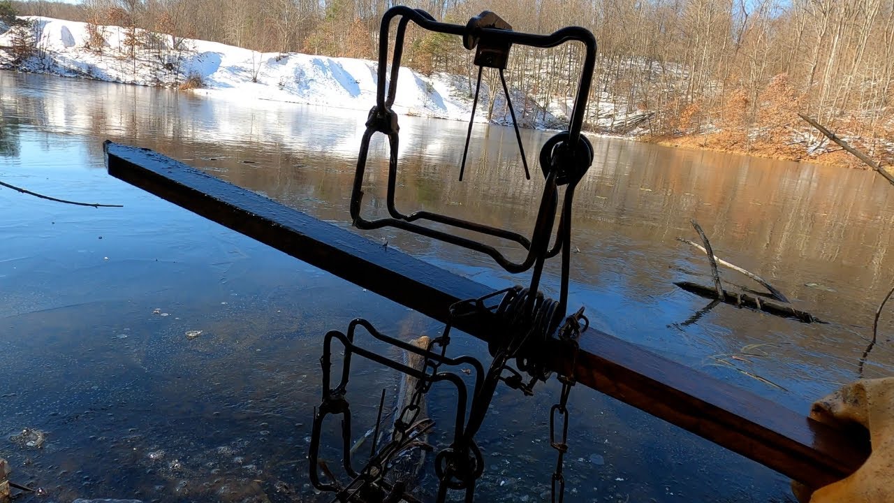 Muskrat Trapping Pennsylvania: Day 1 - YouTube