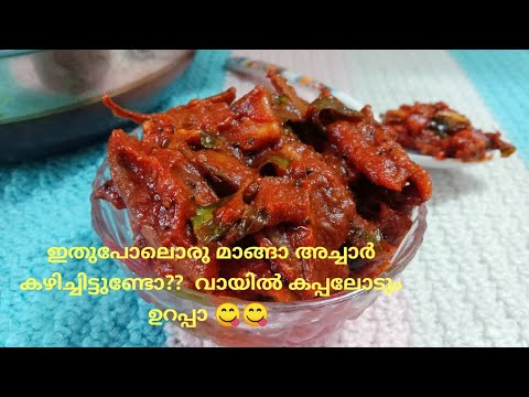 ഉണക്ക മാങ്ങാ അച്ചാർ വായിൽ കപ്പലോടും 😋dried mango pickle/adamanga achar ...