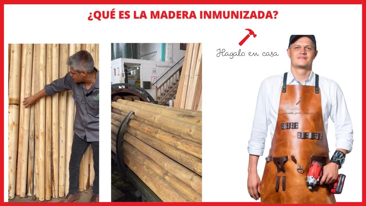 ¿Qué es la madera inmunizada? - YouTube