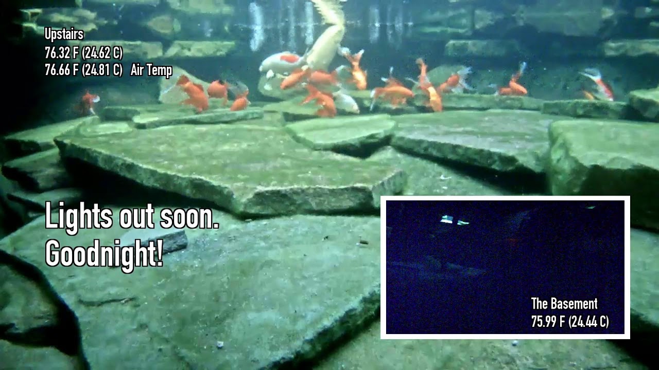 Pond with a Basement - YouTube