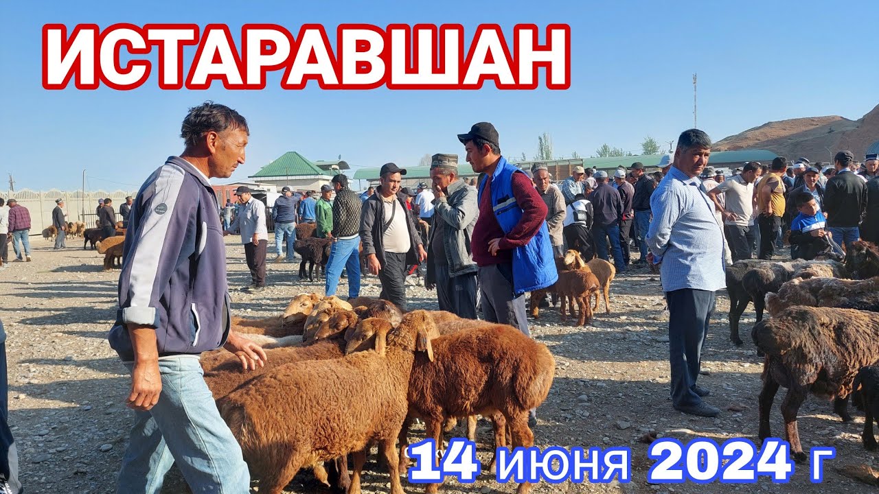 14 июня 2024 г МОЛБОЗОРИ ИСТАРАВШАН БАРОИ ШУМО МАХСУС Youtube